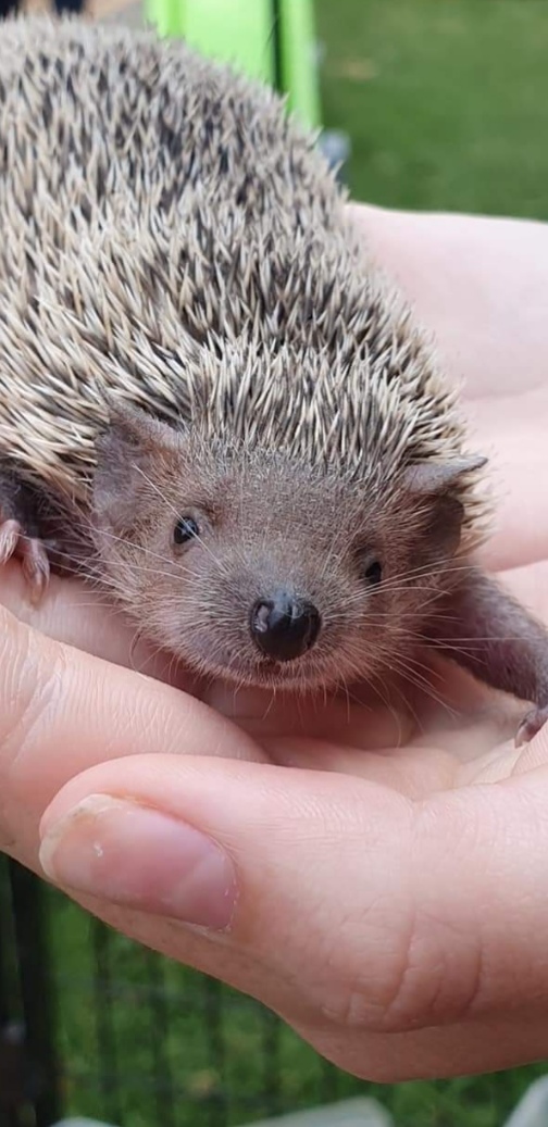 Our Work – Happy Jumps